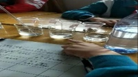 第2单元 水与溶解_13.水能溶解哪些物质_第一课时(粤教粤科版三年级...