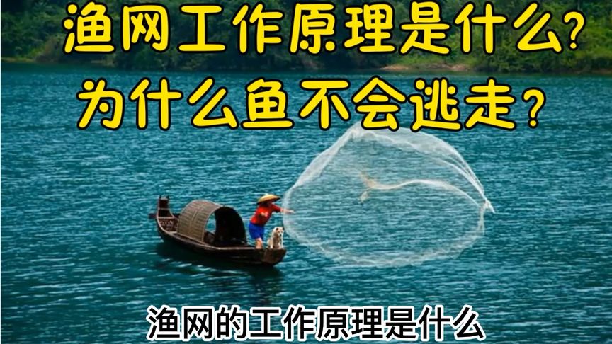 渔网的工作原理是什么?为什么鱼儿不逃走?撒网捕鱼原理