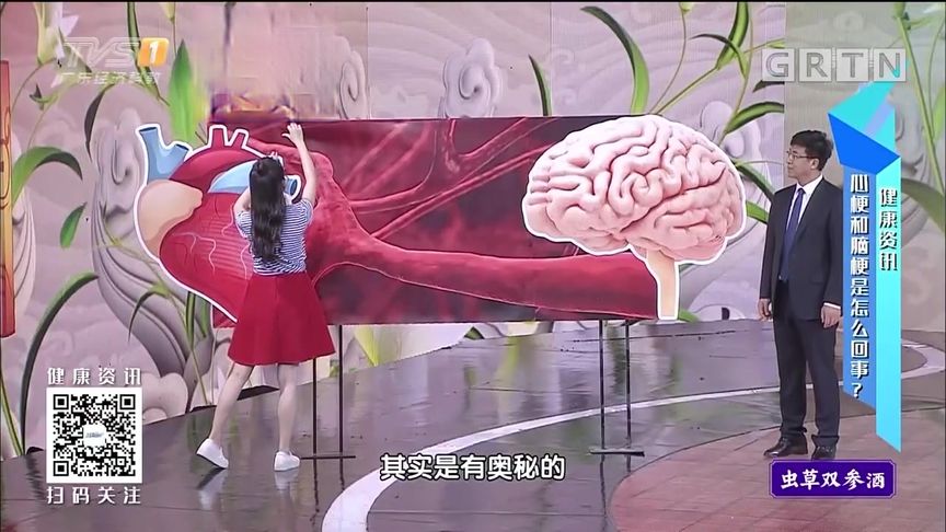 心梗和脑梗是怎么回事?一张图带你看懂其中的关系
