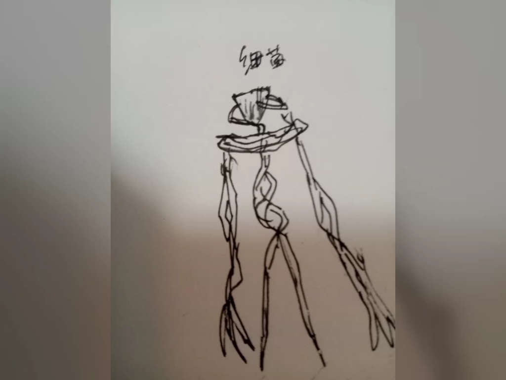 我绘画的后室实体,UP画的不太好,支持一下