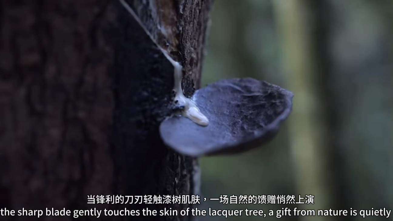 非遗文化科普系列第二部(中英文对照)—漆扇(漂漆技法)