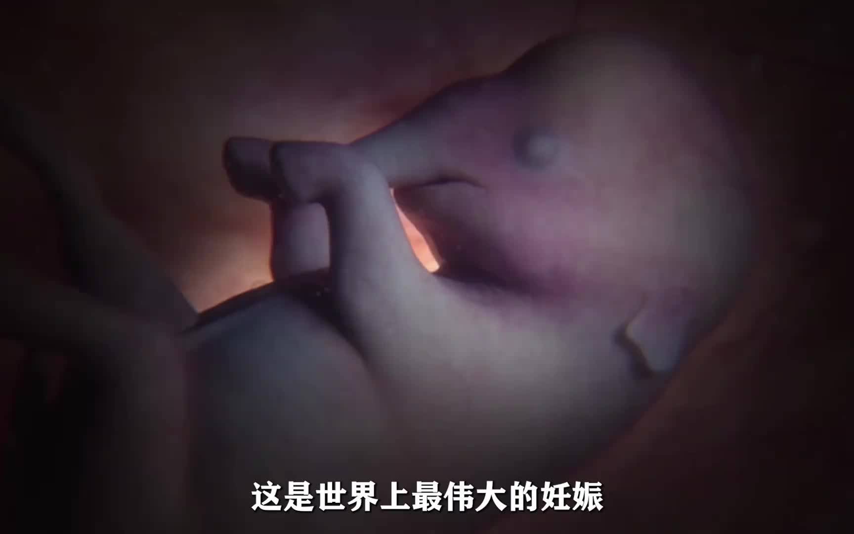 这是世界上最伟大的妊娠,整个周期长达22个月,起初它微小如豆