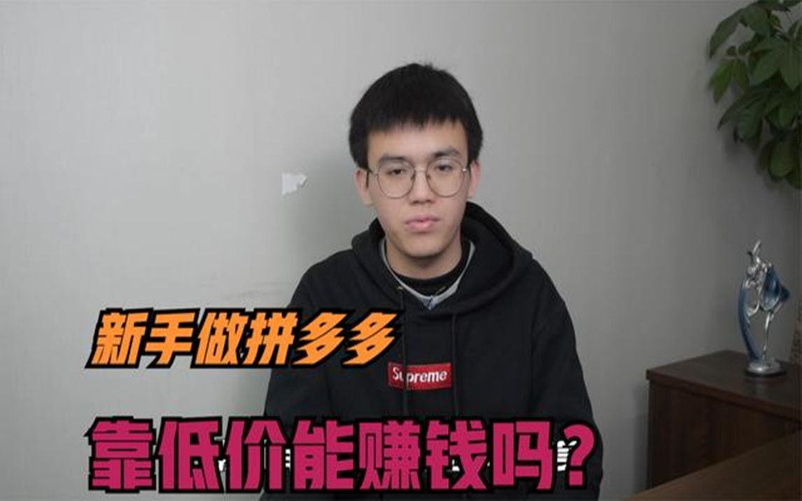 新手做拼多多靠低价能赚到钱么?什么样的人在拼多多才能日进斗金