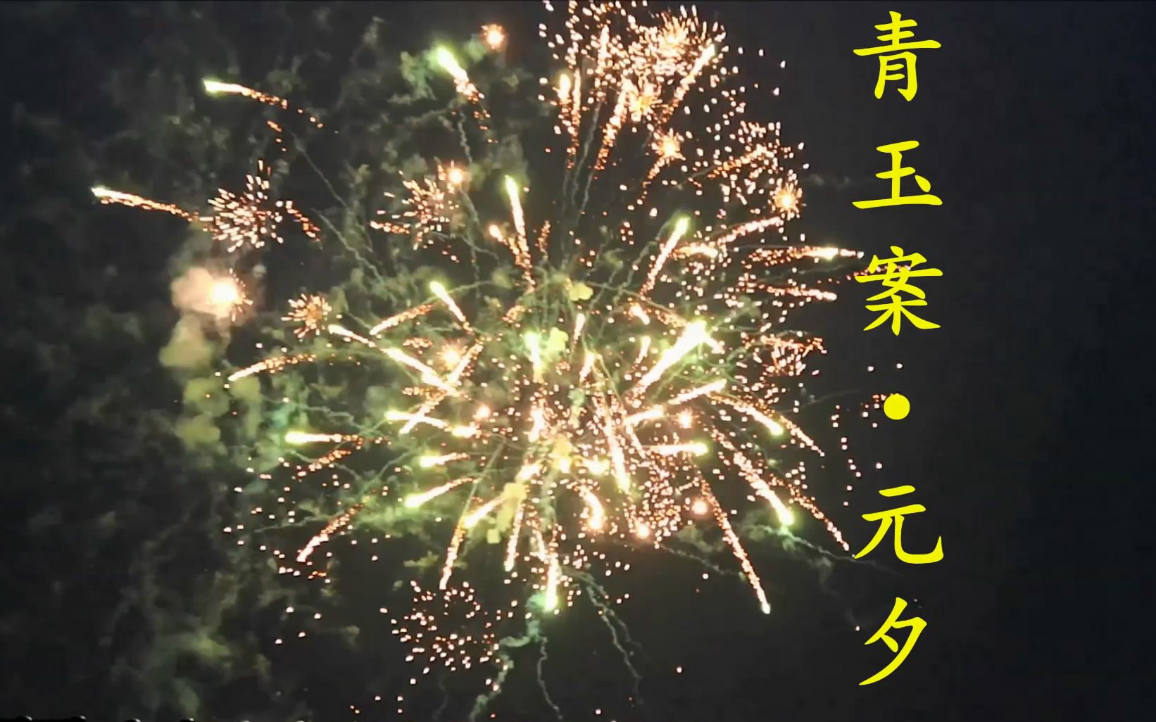 【浙样吟诗】辛弃疾《青玉案·元夕》(经典古诗词,吴语吟诵)