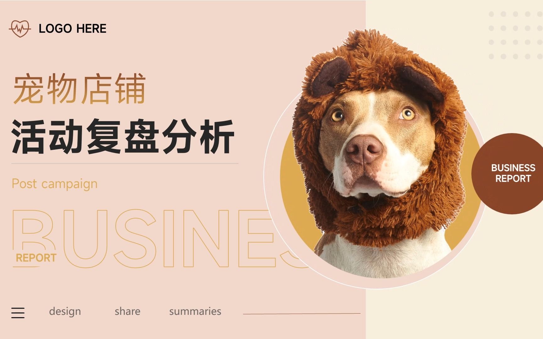 宠物电商活动复盘分析PPT