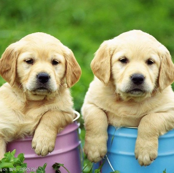 从前捾叫韦老师 