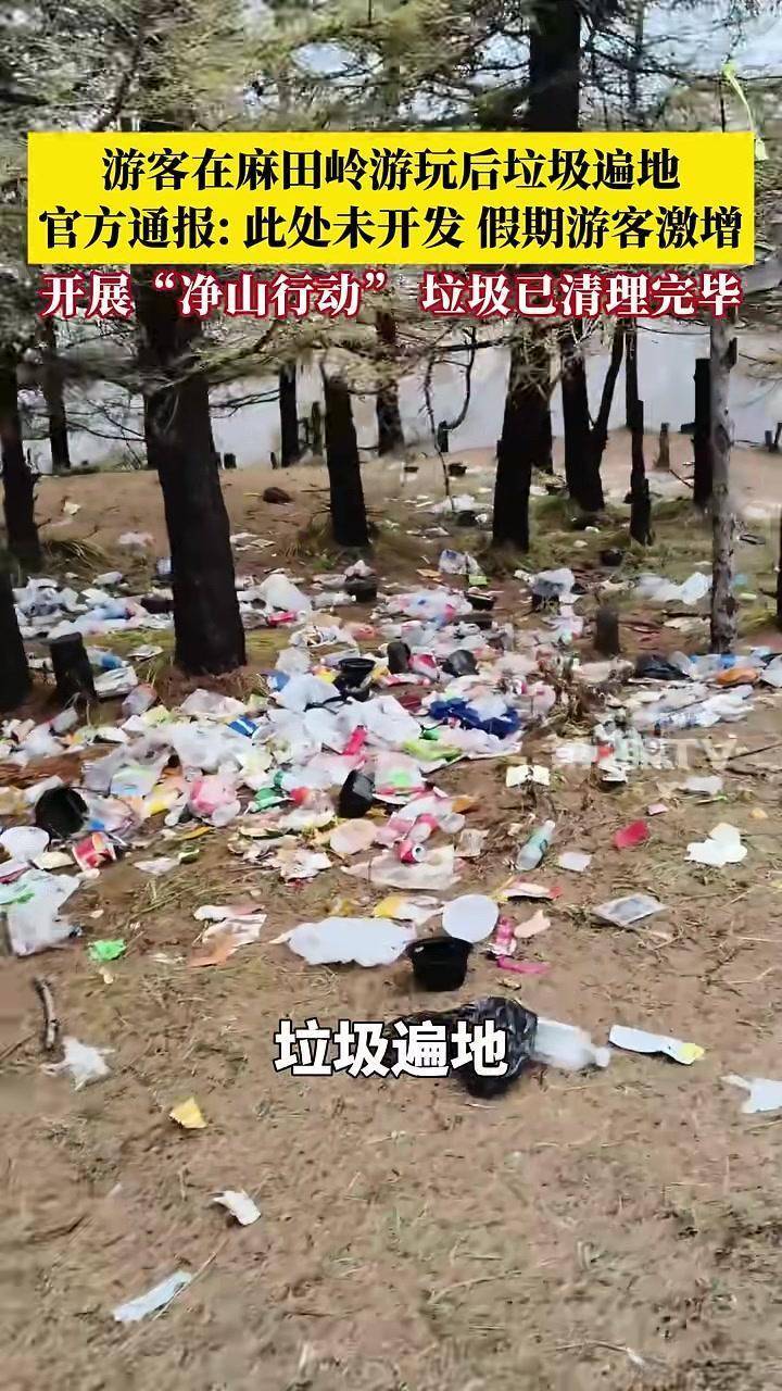 ...因国庆假期游客激增。已组织乡村干部、环卫工人和社会志愿者开展"...