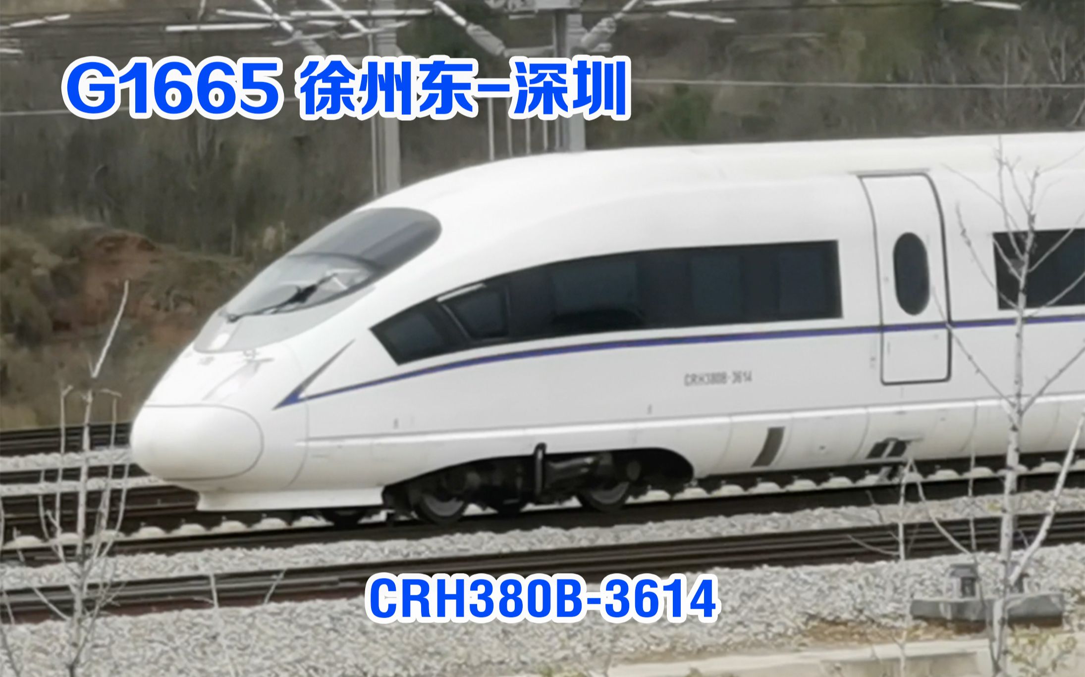 上海局CRH380B担当G1665(徐州东-深圳)出赣州西站