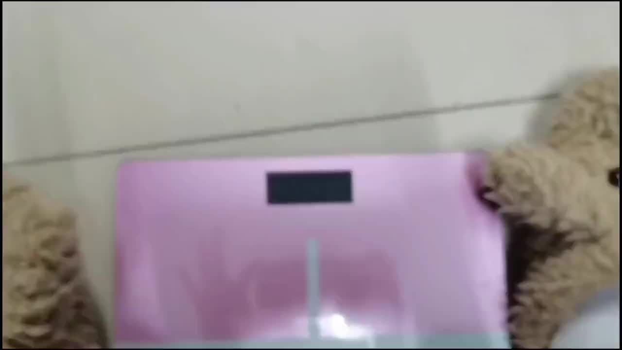 出现在体温计上的数字终于出现在我的体重秤上了