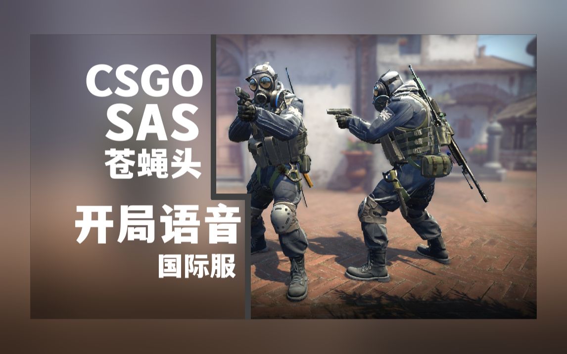 [CSGO/中英字幕] SAS苍蝇头探员 国际服 开局语音