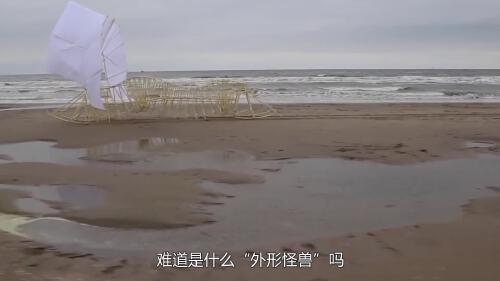 诡异的海边"仿生兽",只要有风就能行驶,整体造型简单又合理