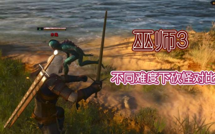 巫师3不同难度的对比,选择合适自己的玩起来没那么累_单机游戏热门...