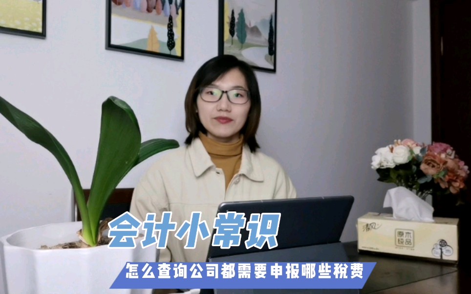 怎么查询你的公司都是需要缴纳哪些税费