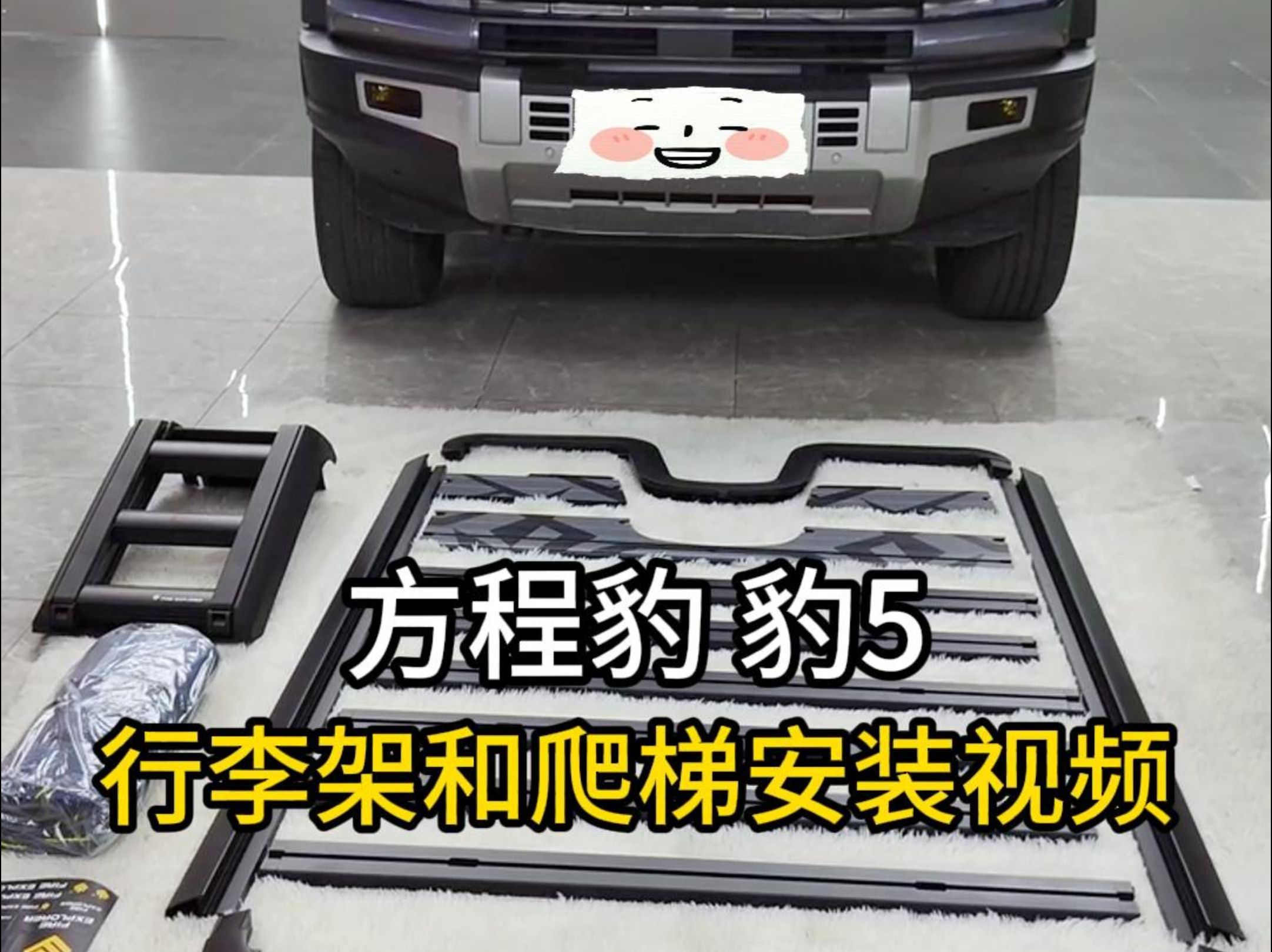 方程豹豹5行李架和爬梯安装视频