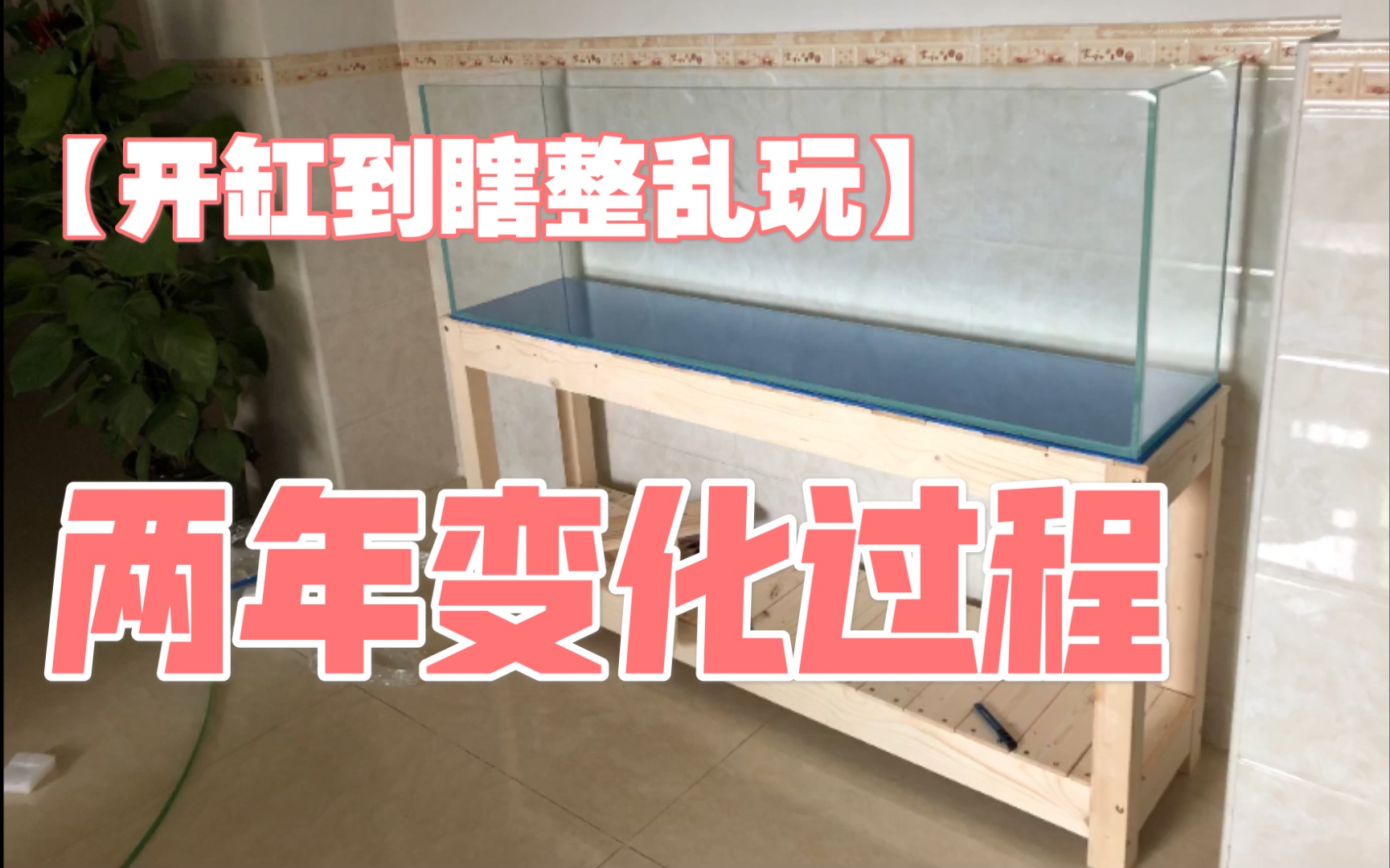 一米五鱼缸开缸到两年后造景变化过程