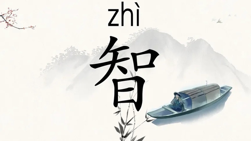 练字 规范字书写汉字智的写法与笔画顺序,智字怎么写