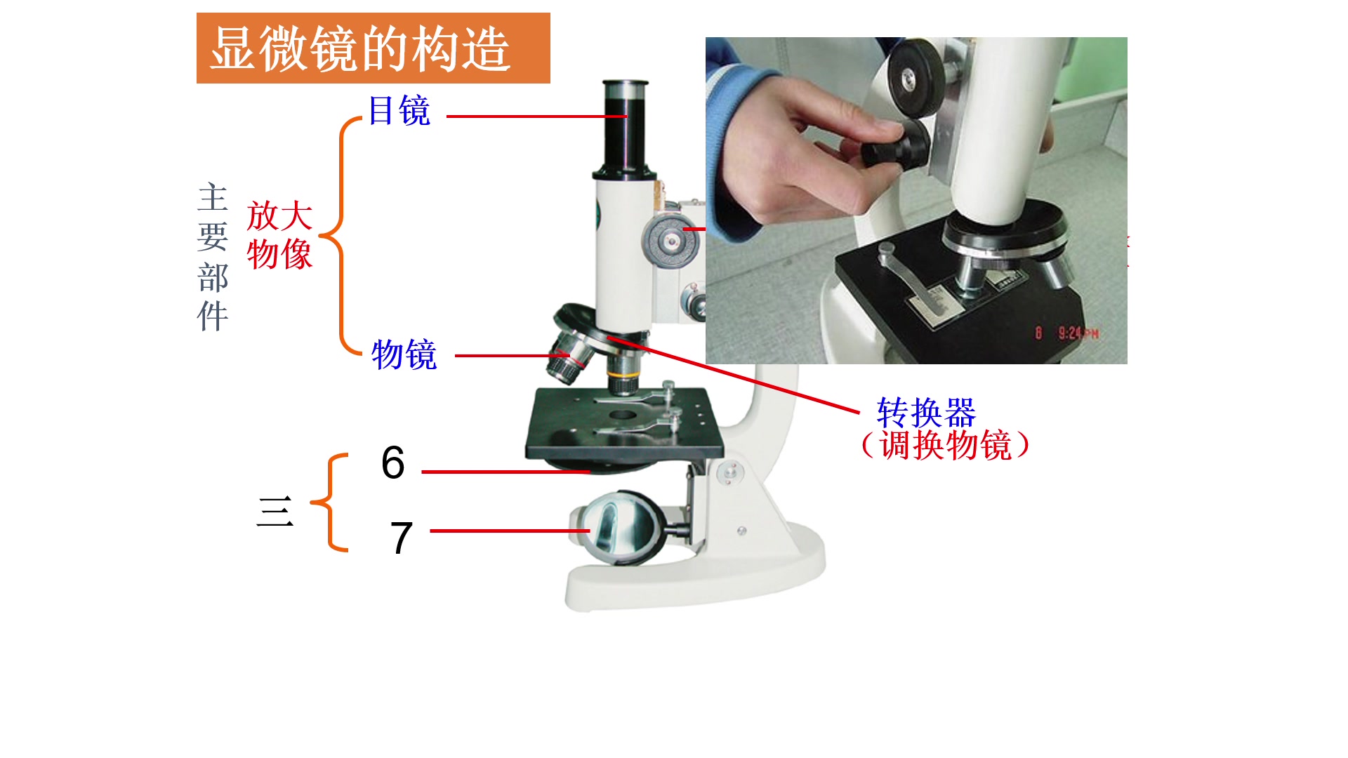 生物学的研究工具——显微镜的结构与功能 (济南版七年级生物上册)