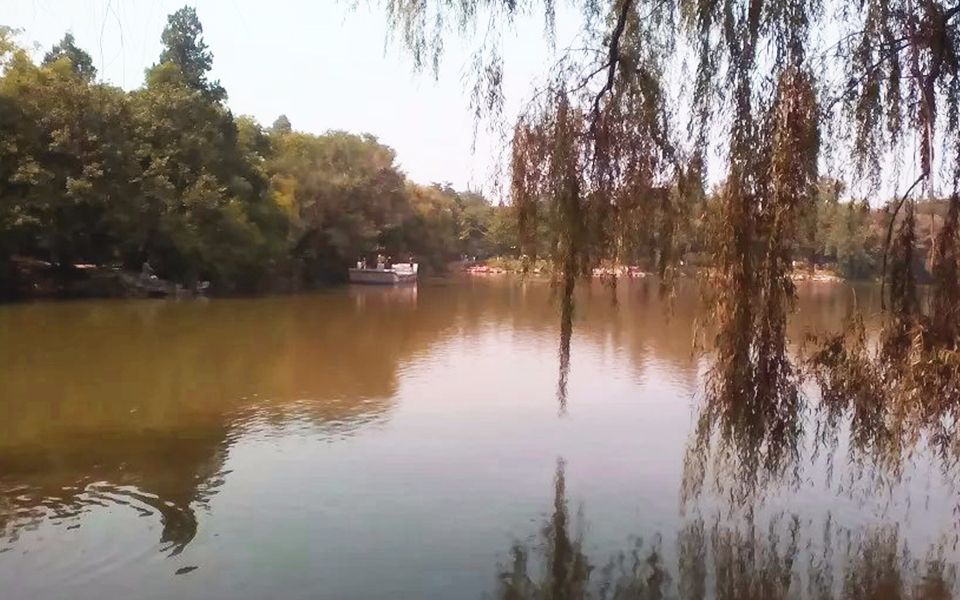 曾仕强:对于学习,我们应该持有怎样的态度才正确呢?