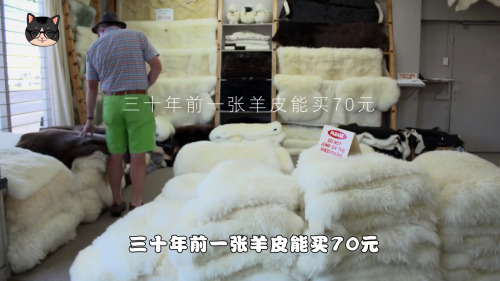 三十年前一张羊皮能卖70元,而如今羊皮却无人问津,这是为什么