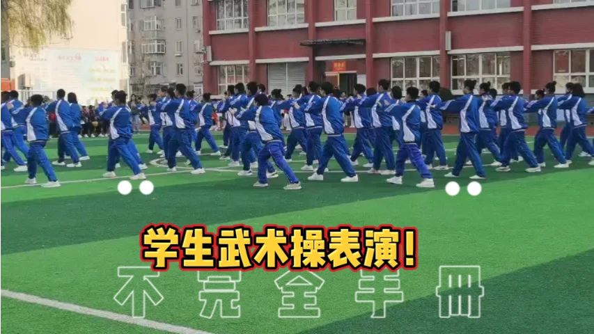 校园文化节上学生武术操表演!