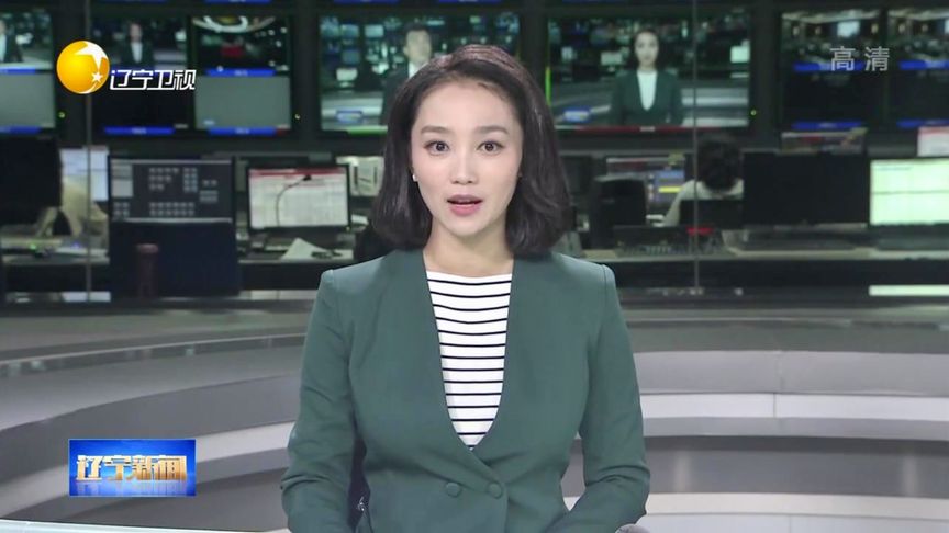 辽宁省政府召开党组会议和常务会议