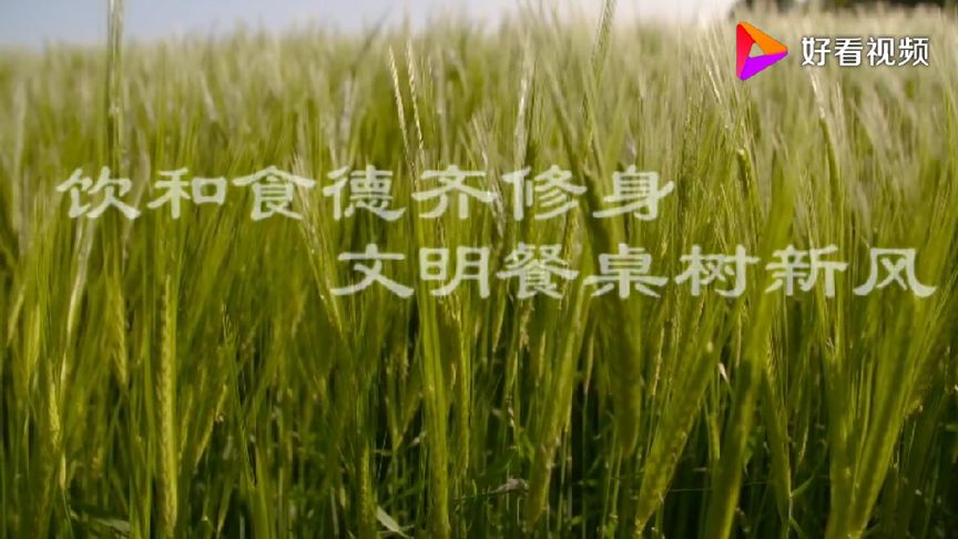 东城二中——文明餐桌活动宣传片