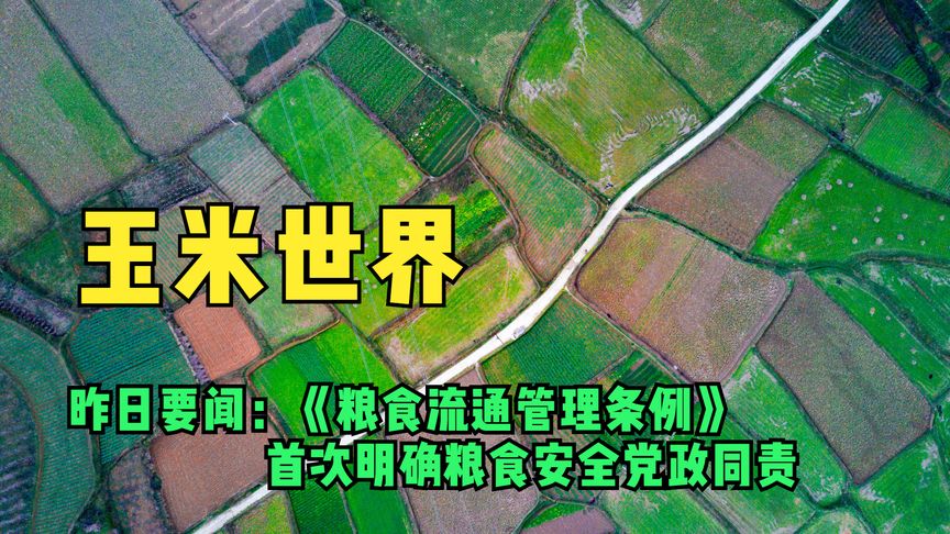 昨日要闻:《粮食流通管理条例》首次明确粮食安全党政同责
