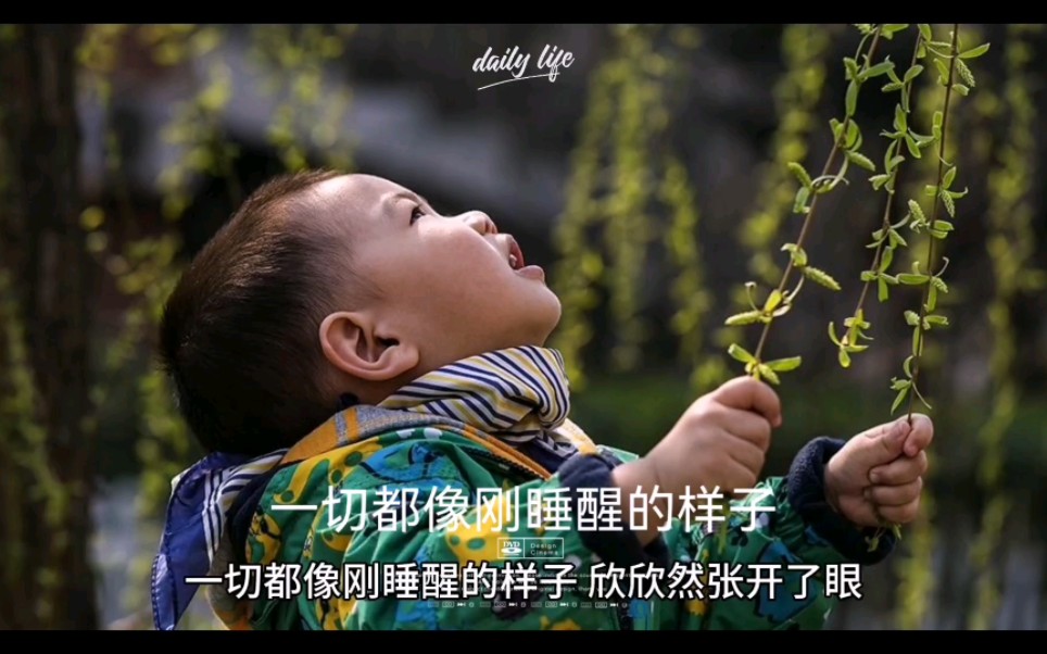 春 朱自清 朗读 人教版七年级上册语文第一课