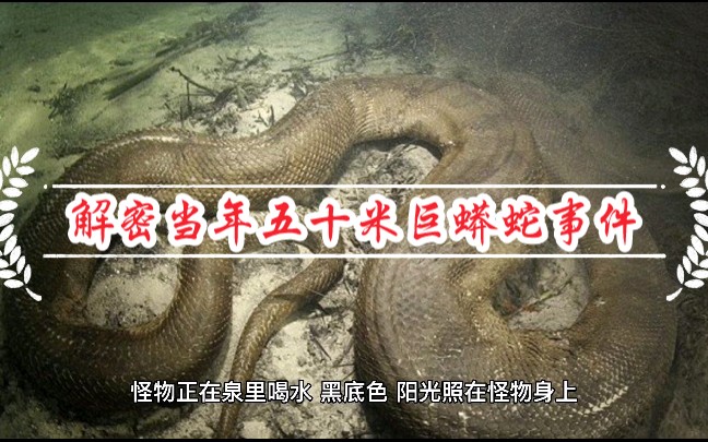 解密当年五十米巨蟒事件!