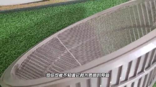 植物营养运输之谜:筛管究竟藏在韧皮部还是木质部?