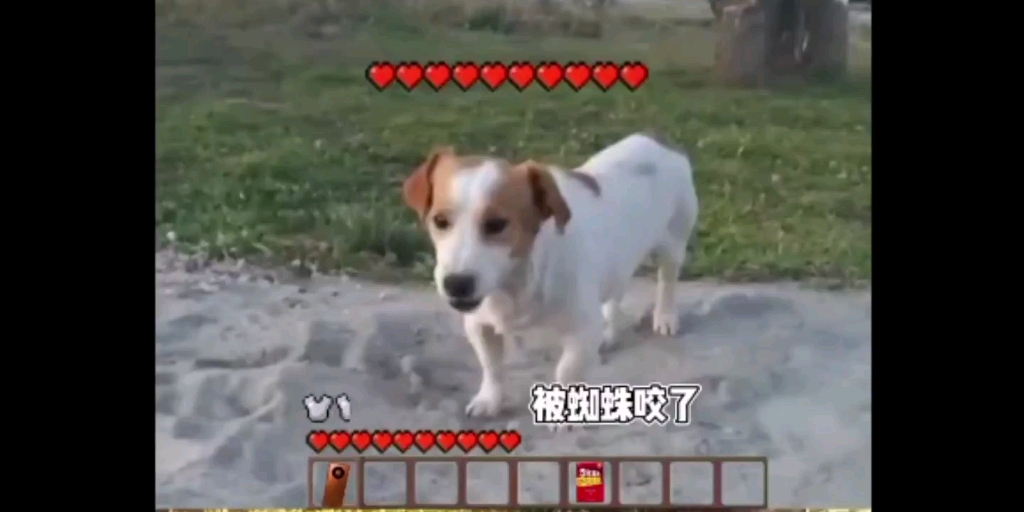 当我的世界走进现实世界2