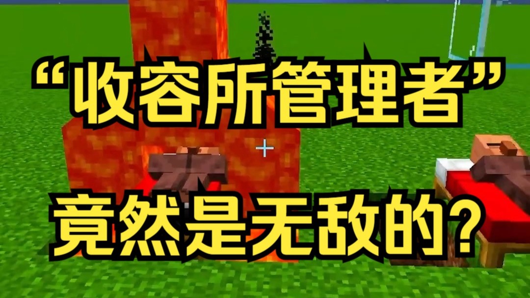 "飞翔使"在睡觉状态下 是"无!敌!的!"_我的世界