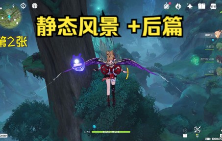 【原神】静态风景 +后篇(森林书照片)!