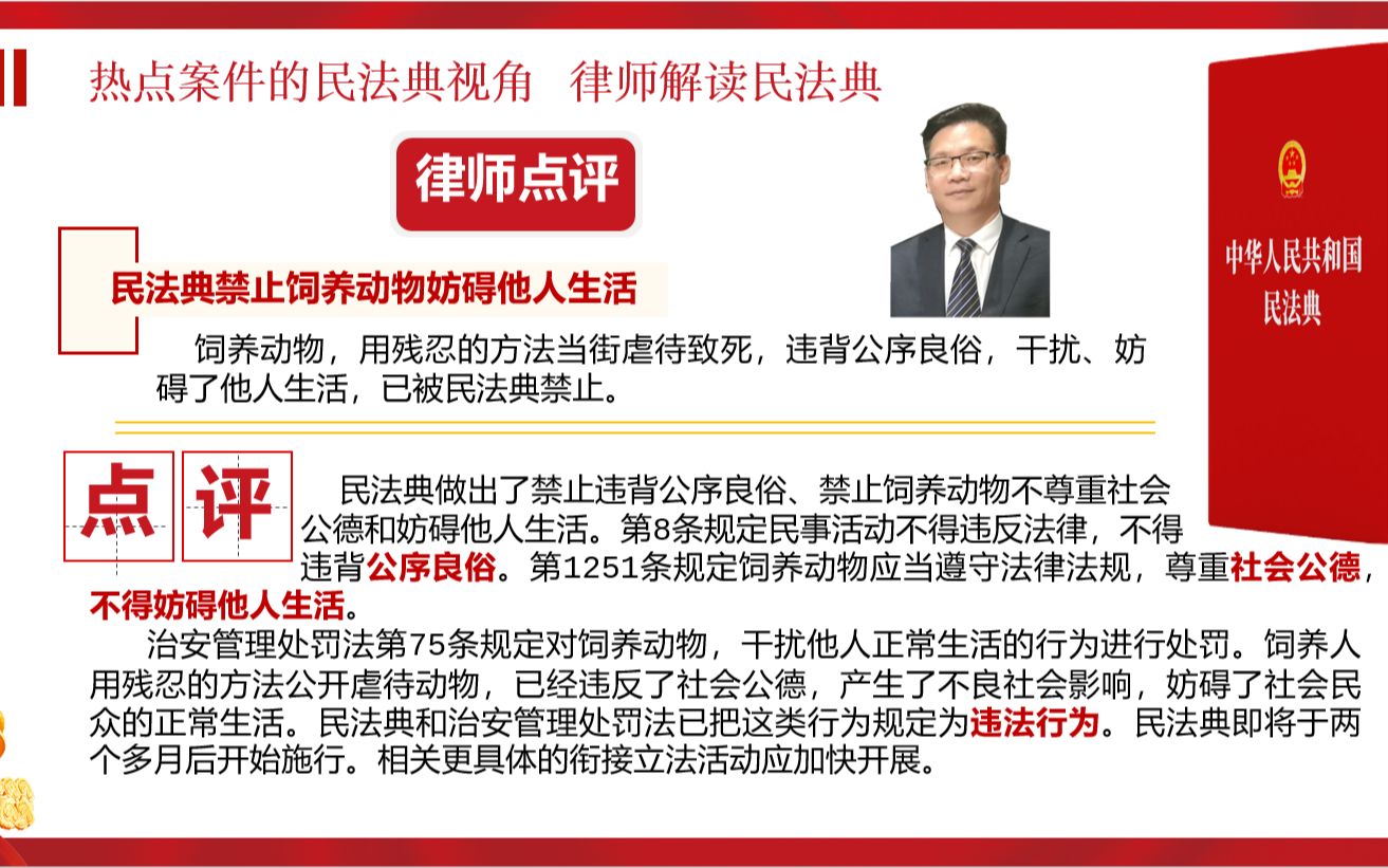 热点案件的民法典视角 律师解读民法典 05 饲养人开水浇烫孕猫致死