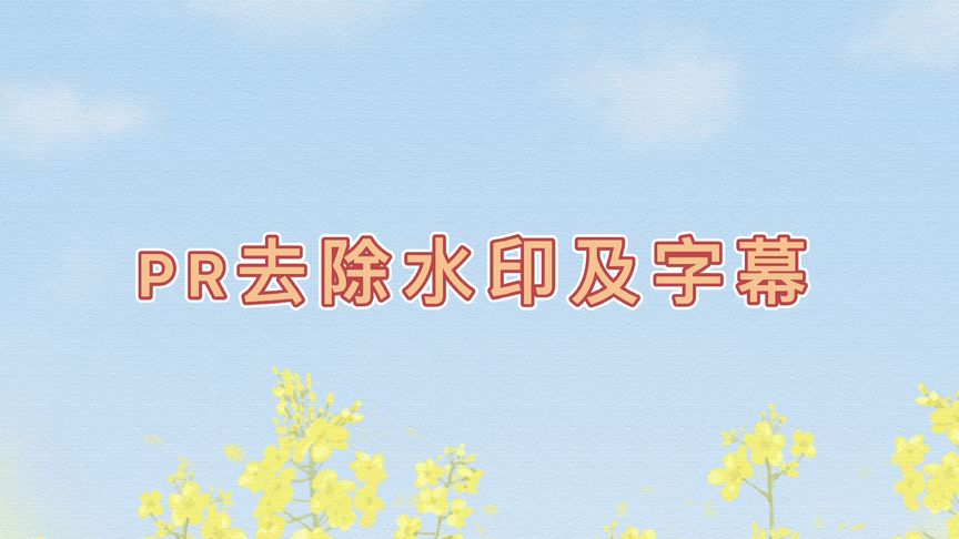 PR去除水印及字幕