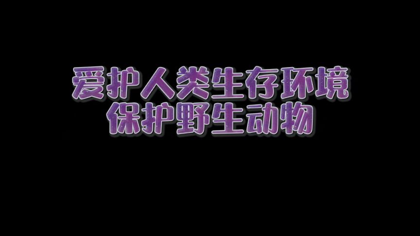 珍爱动物,保护环境