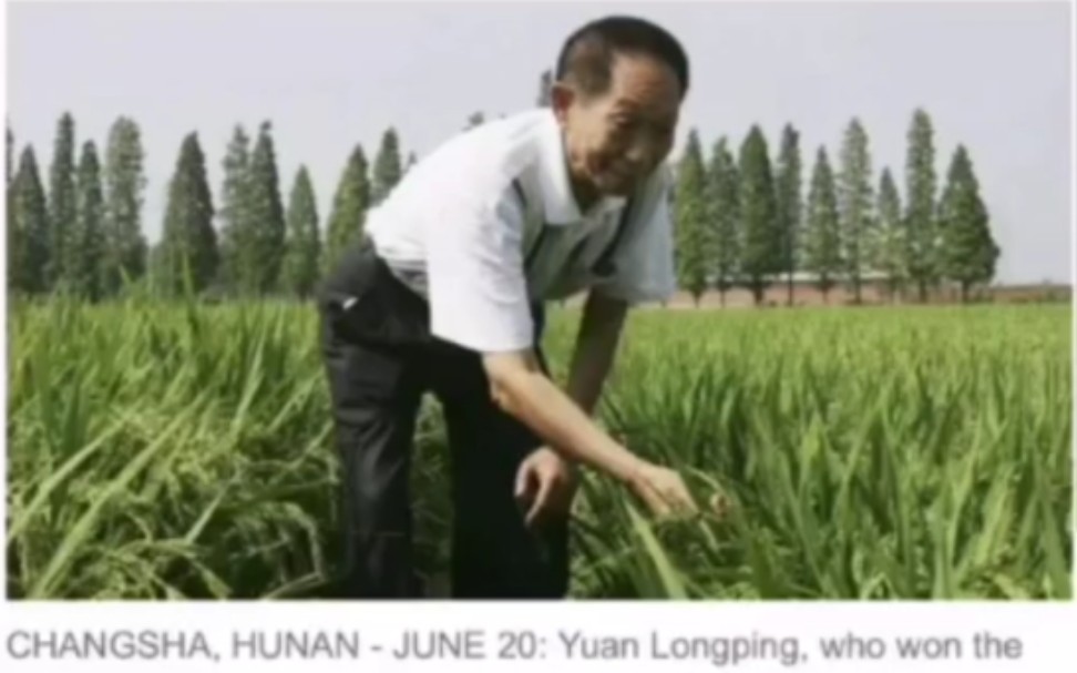 这一次,外媒集体为袁隆平刷屏:他的水稻研究,帮助养活了全世界