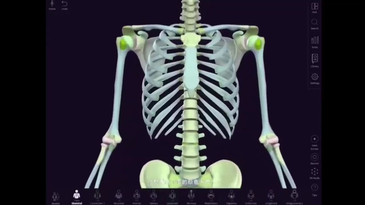 《探索人体奥秘:超好用的3D解剖软件Complete Anatomy》