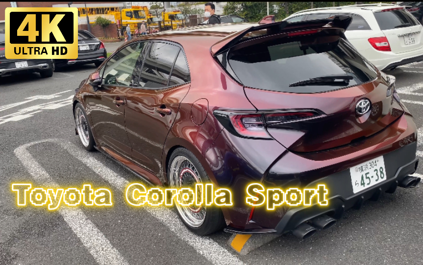 买菜车外形的天花板,丰田卡罗拉Sport