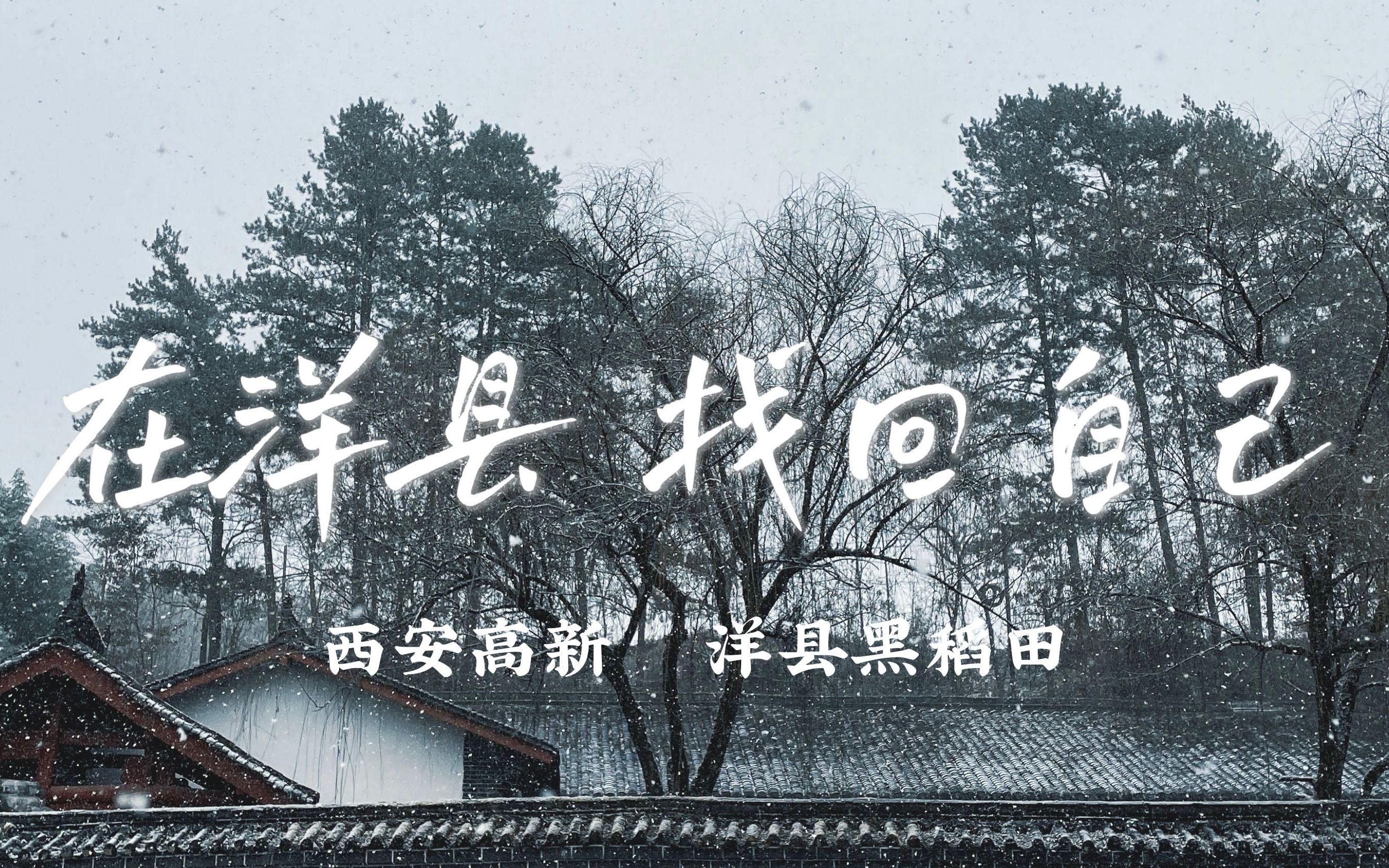 地产 | 宣传片 | 高新地产 | 洋县黑稻田「在这里,找回自己」