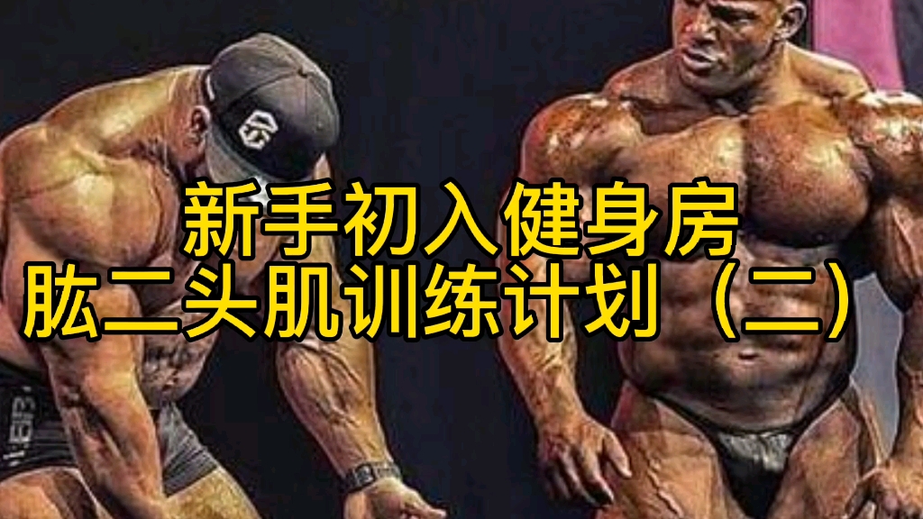 ...第68期:新手初入健身房,肱二头肌训练计划(二)。#增肌#减脂#健身教程