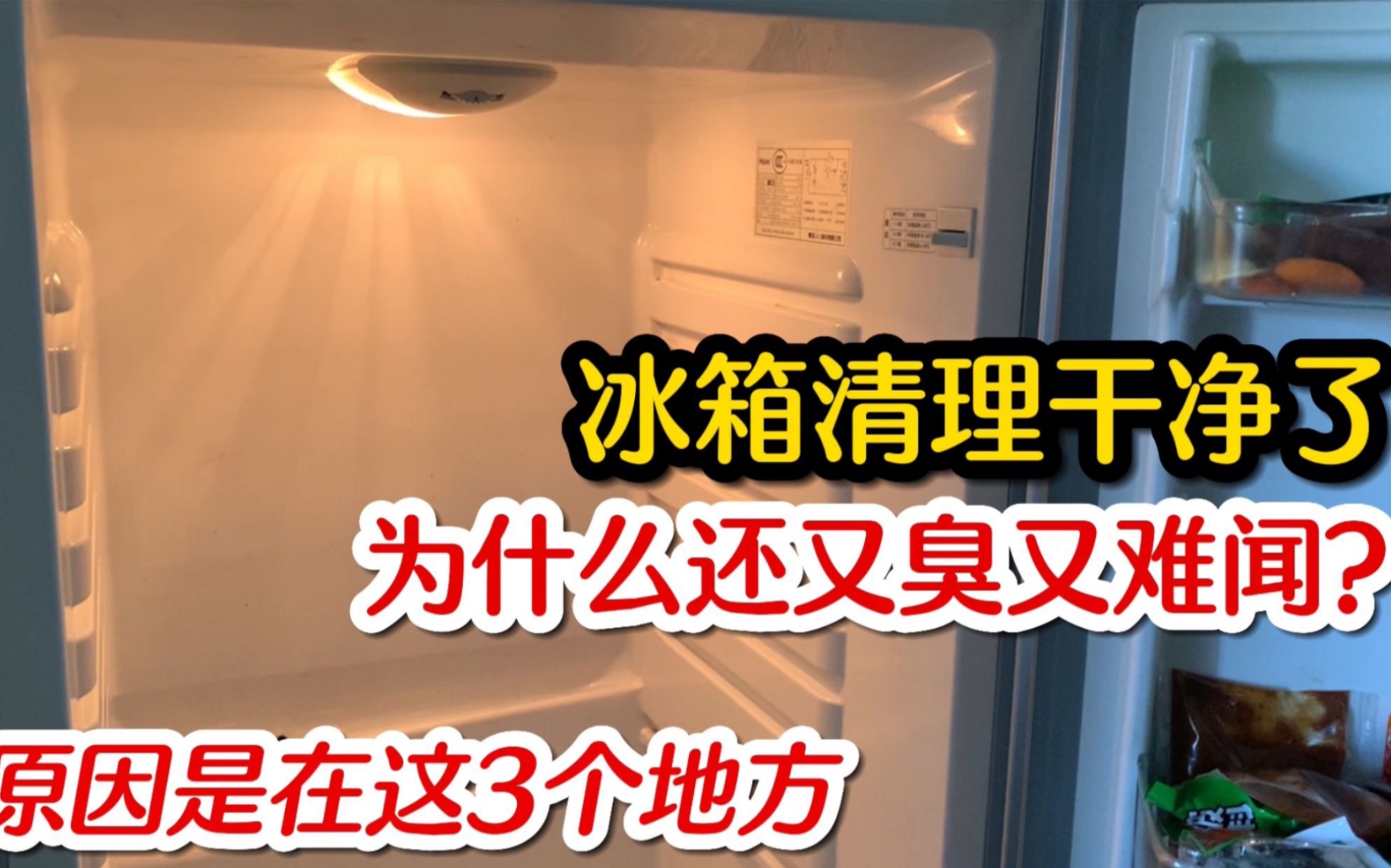冰箱清理干净了还又臭又难闻?原因在这3个地方,轻松解决没异味