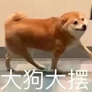 ZhangDDong 