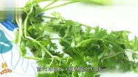 柠檬和它一起泡,连喝半个月脂肪减的一干二净,大肚腩也不见了!