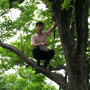 hongan99 