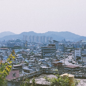 wuli精灵 