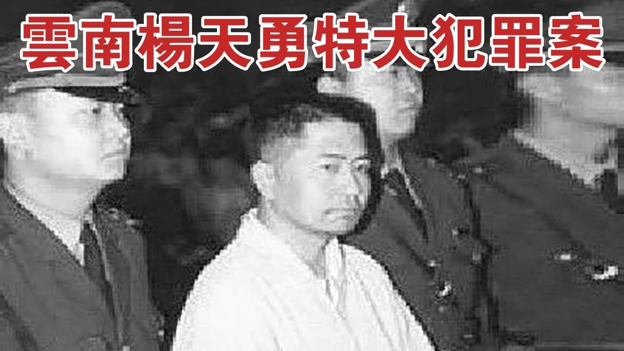云南杨天勇特大犯罪案 #大案纪实 #刑事案件 #案件解说