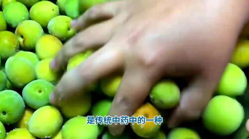 乌梅具有多种药用价值