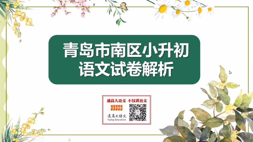市南区小升初语文试卷解析01