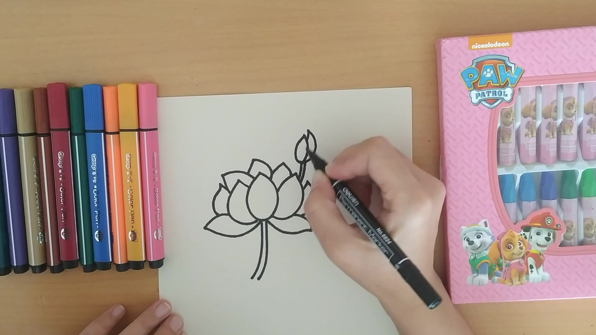 第一集 简笔画荷花的画法,几分钟学画卡通荷叶荷花,儿童宝宝轻松学画画